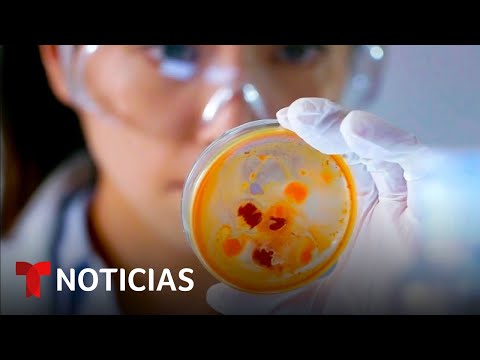 Ensayo clínico de AMG 509 en pacientes con cáncer: resultados y ...