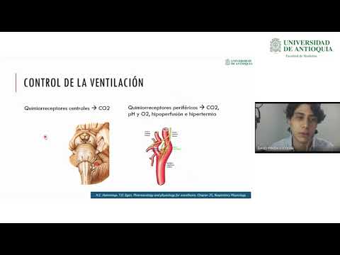 Hipercapnia: Definición y Conceptos Clave en el Diccionario Médico ...