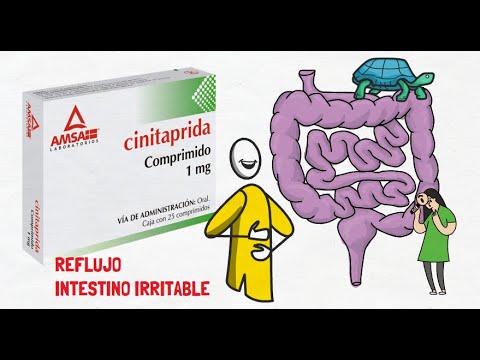 Cinitaprida: Indicaciones y Contraindicaciones Esenciales para su Uso ...