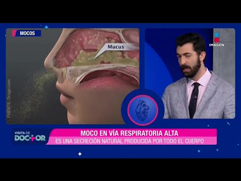 Significado de los colores del moco y su relación con la salud respiratoria
