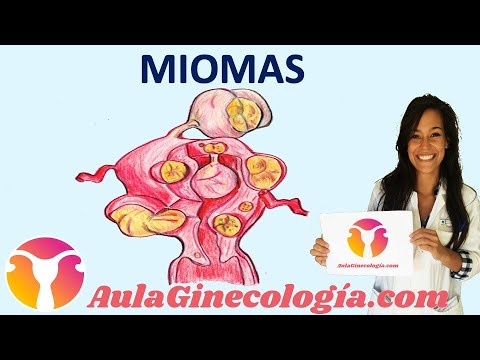 Miometrio: Definición y Función en el Contexto Médico