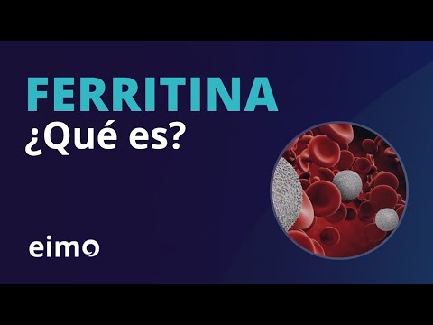 Transferrina: Definición, Función y Niveles Normales en el Cuerpo Humano