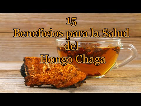 Hongo Chaga: Beneficios para la Salud y Precauciones a Considerar