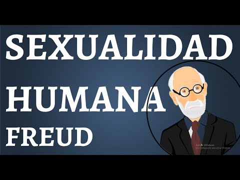 Entendiendo la Libido: Definición y Mecanismos de Función en la ...