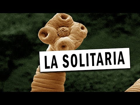 Teniasis intestinal: Información completa sobre la tenia o solitaria y ...