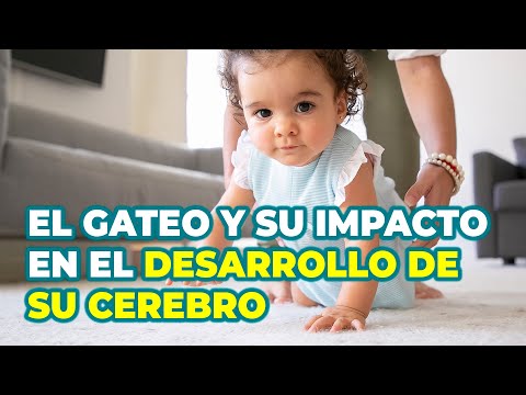 El gateo del bebé y su importancia en el desarrollo infantil