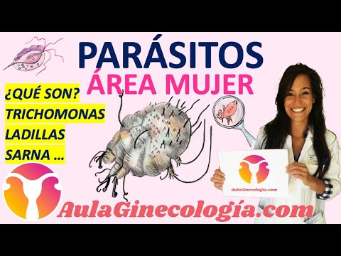 Síntomas y diagnóstico de la infección por ladillas: información ...