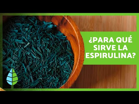 Espirulina: Beneficios, Propiedades y Efectos en la Salud - SientoSalud