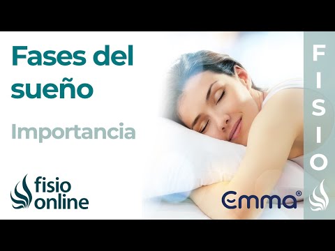 Sueño REM: Definición y Funciones en el Diccionario Médico