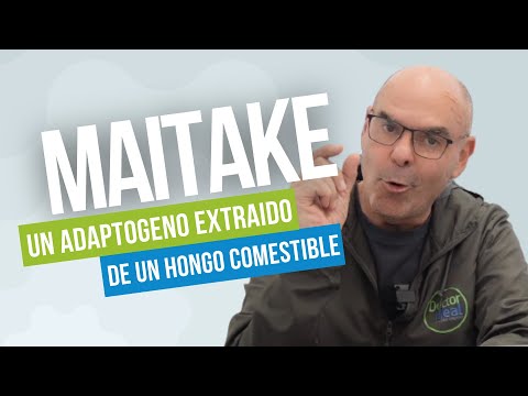 Hongo Maitake: Beneficios, Propiedades y su Impacto en el Cáncer