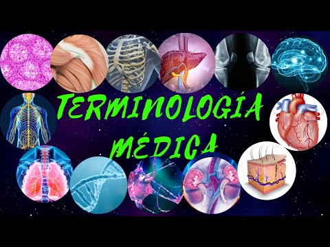 Tubo Torácico: Definición y Función en el Diccionario Médico