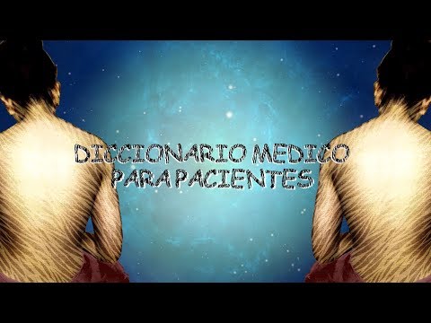 Perimetrio en el Diccionario Médico: Definición y Funciones en la Salud ...