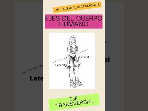 Eje Transversal en Medicina: Definición y Aplicaciones en el ...