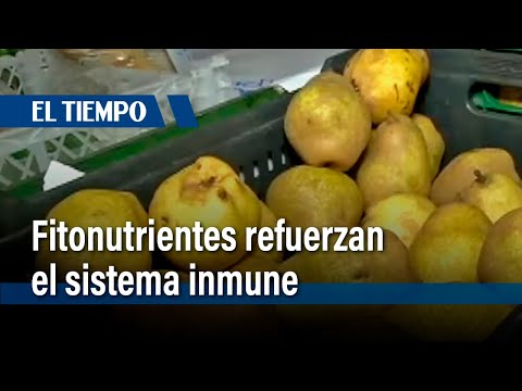 Fitonutrientes: Beneficios para la salud y su importancia en la ...