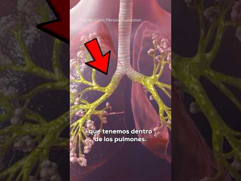 Significado de los colores de las flemas y recomendaciones para su ...