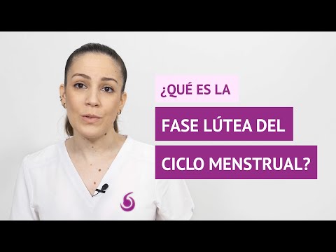 Fase Lútea: Definición y Relevancia en el Ciclo Menstrual en el ...
