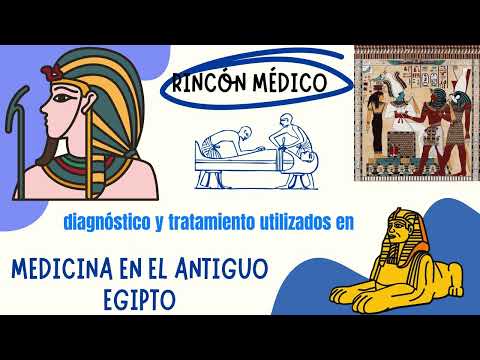 Línea Primitiva en Medicina: Definición y Relevancia en el Diccionario ...