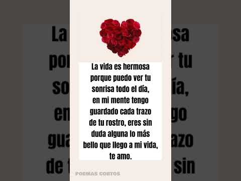 Frases de Amor para Dedicar y Enamorar: 101 Ideas que Capturan el Corazón