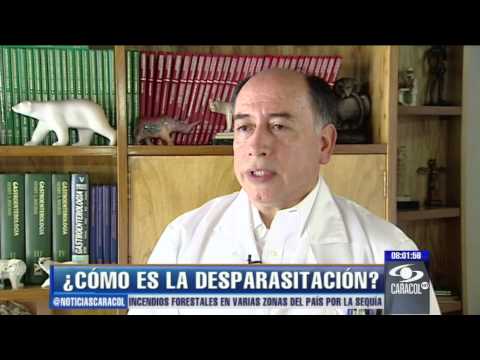 Desparasitantes para adultos: Tipos y Dosis Recomendadas para un ...