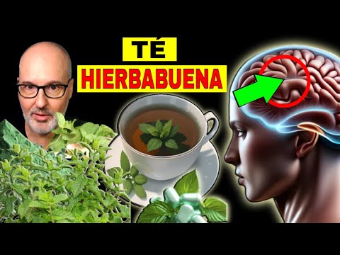 Té de hierbabuena: beneficios, usos y contraindicaciones que debes conocer