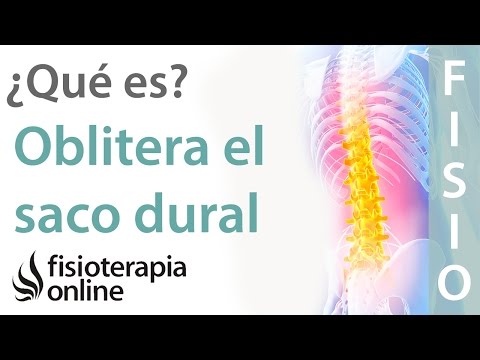 Saco Dural: Definición y Funciones en el Contexto Médico