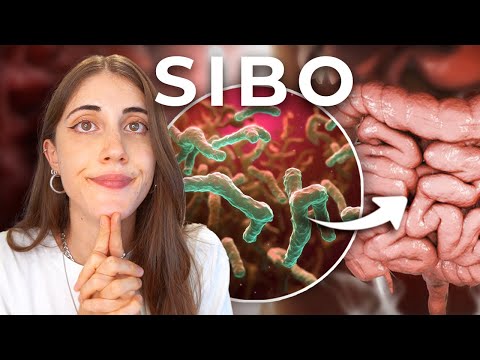 SIBO: Comprendiendo sus Síntomas y Efectos en la Salud Digestiva