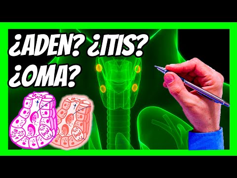 Nuca Diccionario Médico: Definiciones y Conceptos Clave en Salud