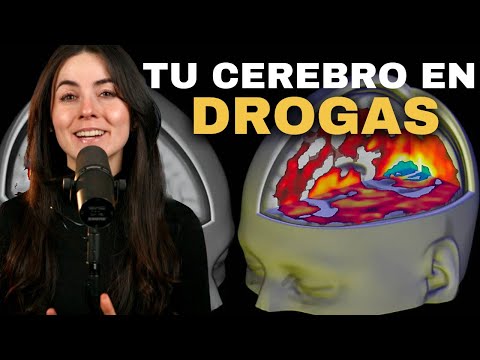 Efectos a Largo Plazo del Éxtasis en la Salud Mental y Física