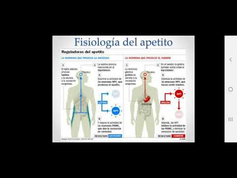 Megestrol: Información sobre el fármaco Borea y Maygace en altas dosis