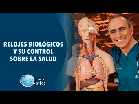 Cronobiología y el Impacto del Reloj Interno en la Salud y el Bienestar