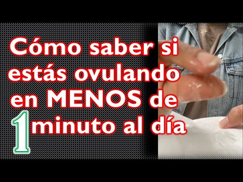Moco cervical y embarazo: ¿Cómo interpretarlo correctamente?