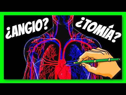 Trepopnea: Definición y Concepto en el Diccionario Médico