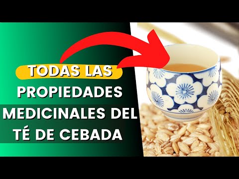 Beneficios del té de cebada y su preparación paso a paso