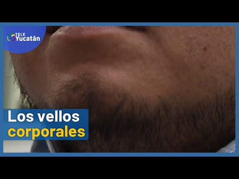 Razones detrás del crecimiento del vello en las axilas y su función en ...