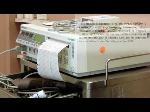 Triploide: Definición y Significado en el Diccionario Médico de la ...