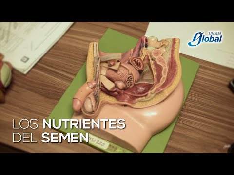 6 Mitos Comunes sobre el Semen que Debes Conocer