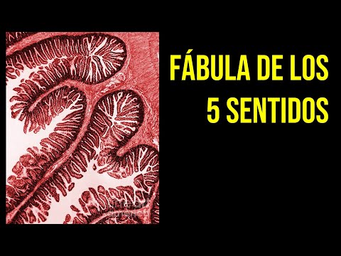 La Boantropía: Comprendiendo un Inusual Trastorno de la Percepción Humana