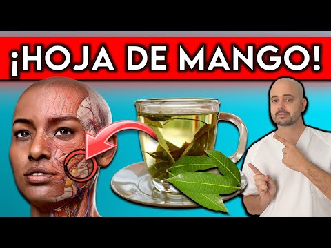 Cómo preparar infusión de hojas de mango para tratar diversas dolencias
