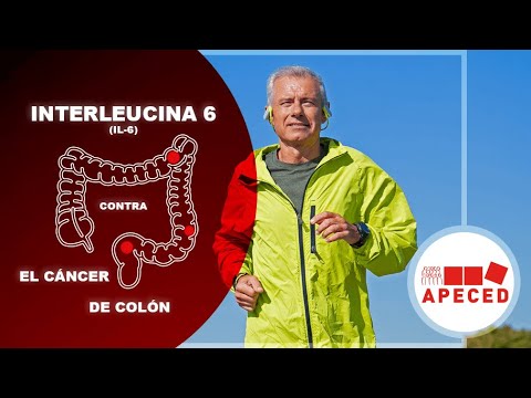 Interleuquina: Definición y Funciones en el Diccionario Médico ...
