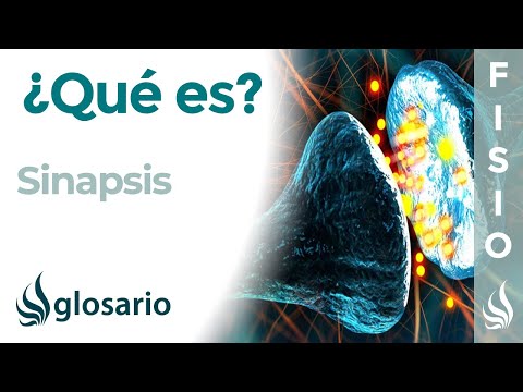 Sinapsis Axoaxónica: Función y Importancia en la Comunicación Neuronal