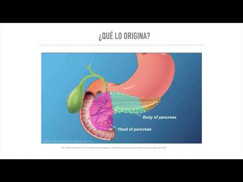 Páncreas Anular: Definición y Aspectos Médicos Relevantes