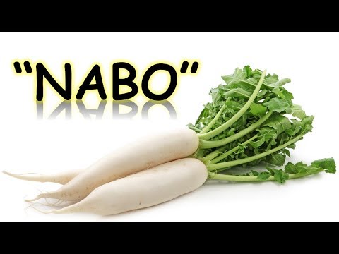Beneficios y propiedades de los nabos para una alimentación saludable