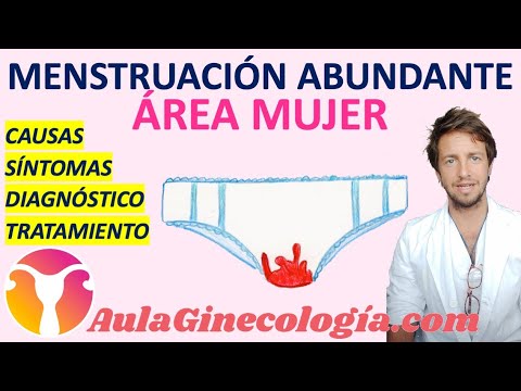 Hipermenorrea: Definición, Causas y Tratamientos Efectivos