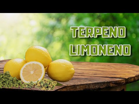 Limoneno: Beneficios, Aplicaciones y Consideraciones de Seguridad