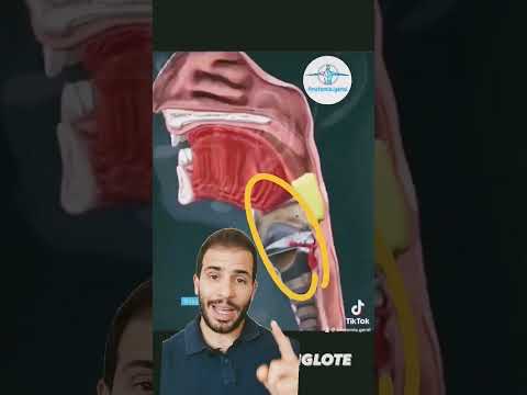 Edema de Glotis: Definición y Aspectos Esenciales del Diccionario Médico