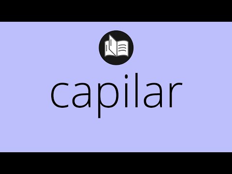 Lecho capilar en el diccionario médico: definición y funciones clave